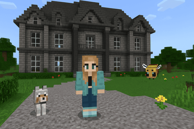 See Real Minecraft Therapy Breakthroughs | 3 Case Studies That ...